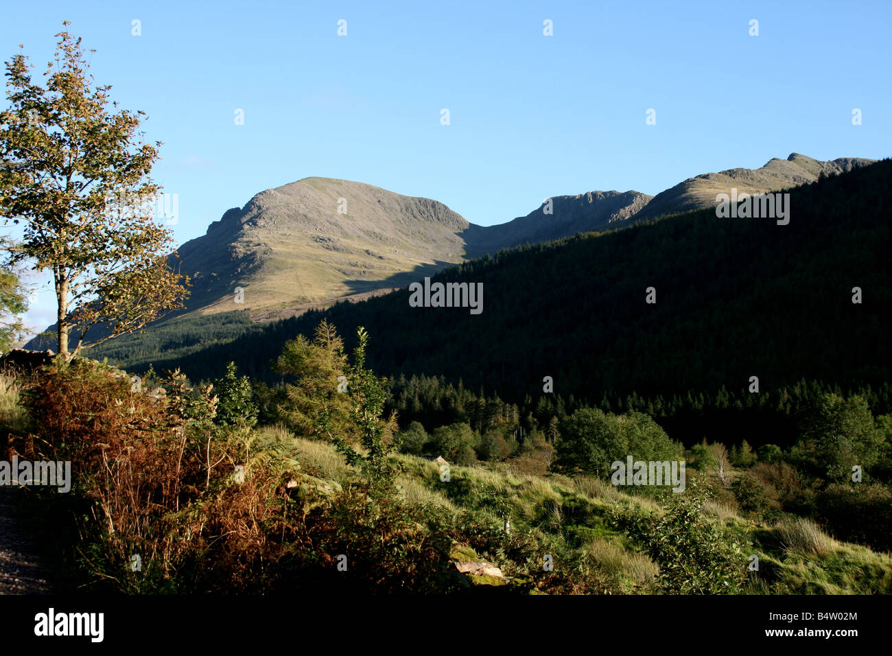 Ennerdale forest hi-res stock photography and images - Alamy