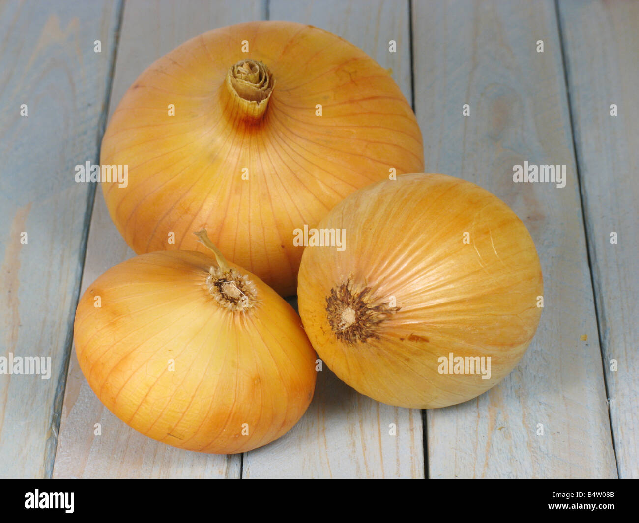 Onion interior hi-res stock photography and images - Alamy