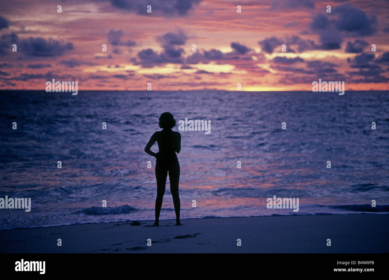 A beachcomber on Bird Island at sunset in the Seychelles Stock Photo ...