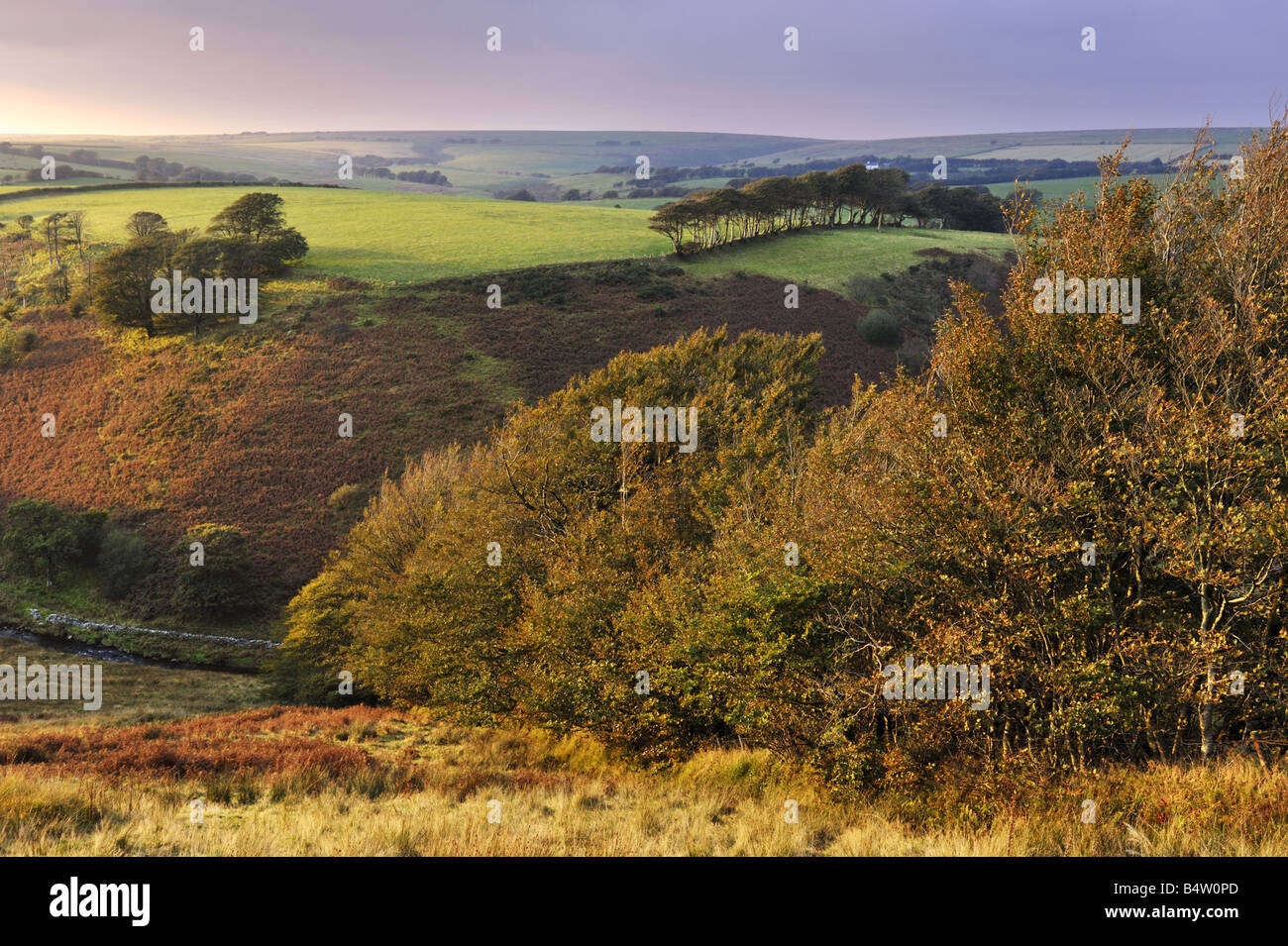 Cornham brake valley hi-res stock photography and images - Alamy