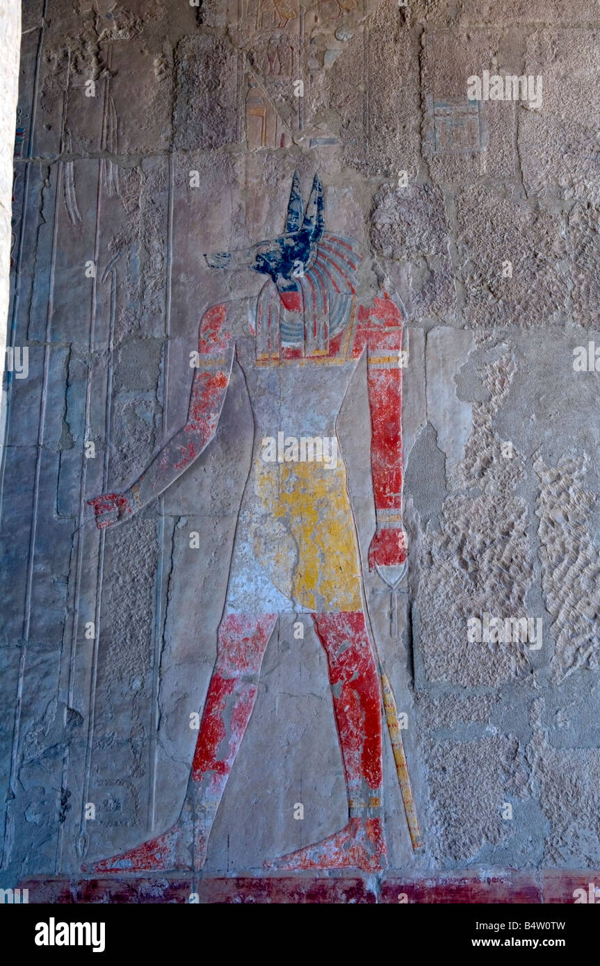 Bas relief of Anubis with paint remnants, Queen Hatshepsuts Mortuary ...