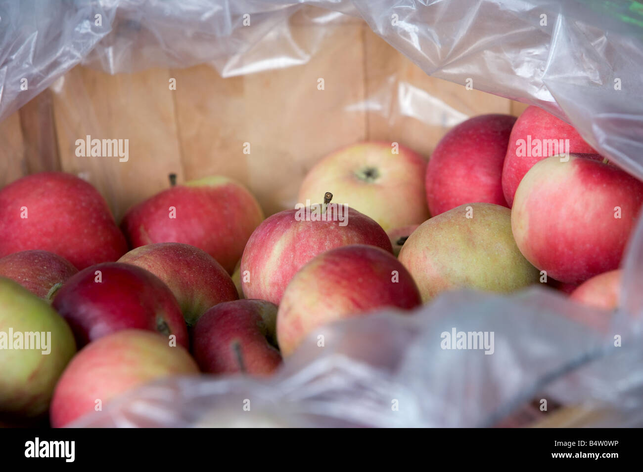 A bushel of apples Stock Photo - Alamy