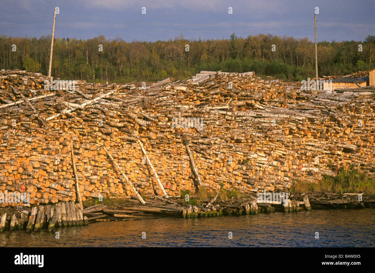 Logging Industry Russia High Resolution Stock Photography and Images ...