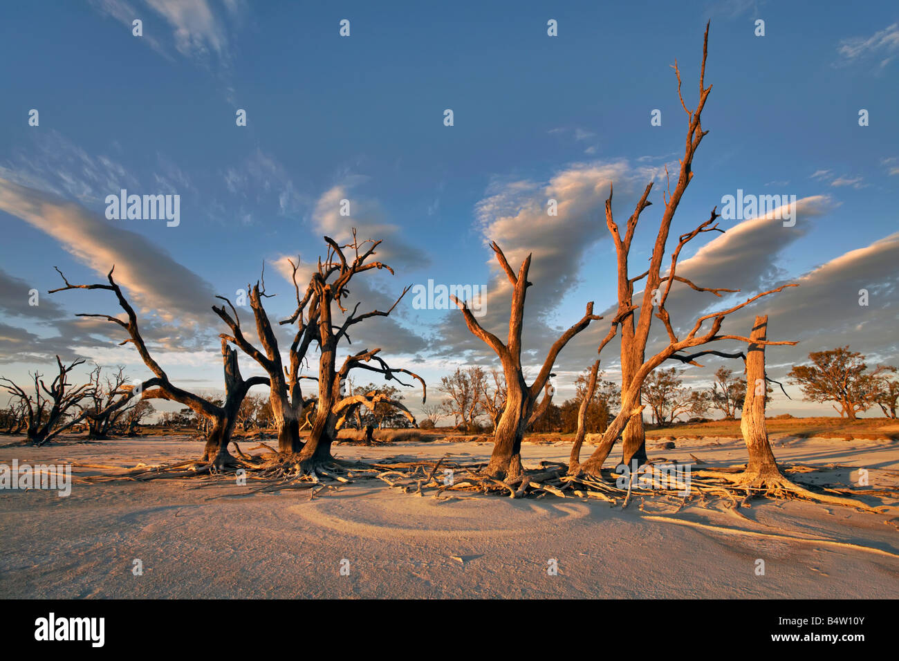 Lake Bonney Barmera Riverland South Australia Stock Photo - Alamy