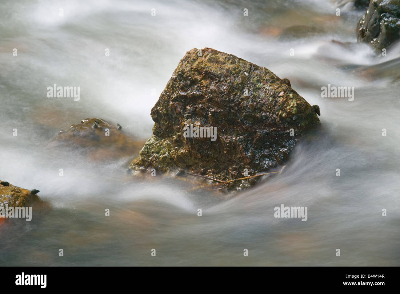 A forest stream in Tabin Wildlife Reserve Sabah Malaysia Stock Photo ...