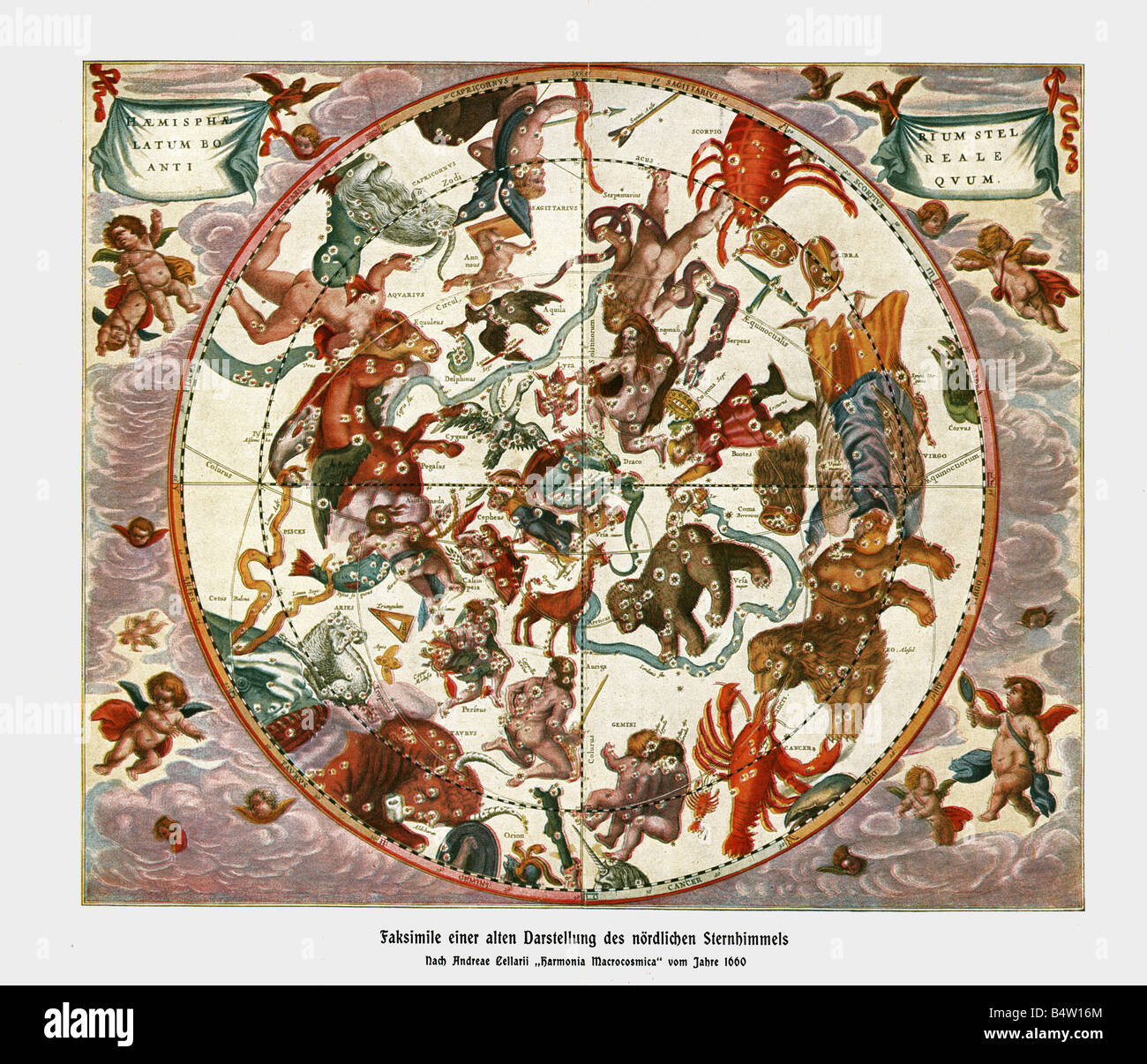 Andreas cellarius hi-res stock photography and images - Alamy