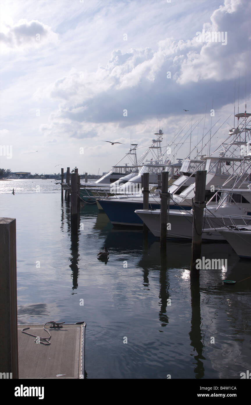 A row of boats docked on the Florida coast Stock Photo - Alamy