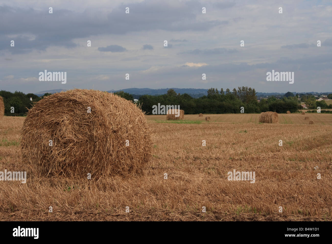 A Large Hay bale in a field at harvest time Stock Photo - Alamy