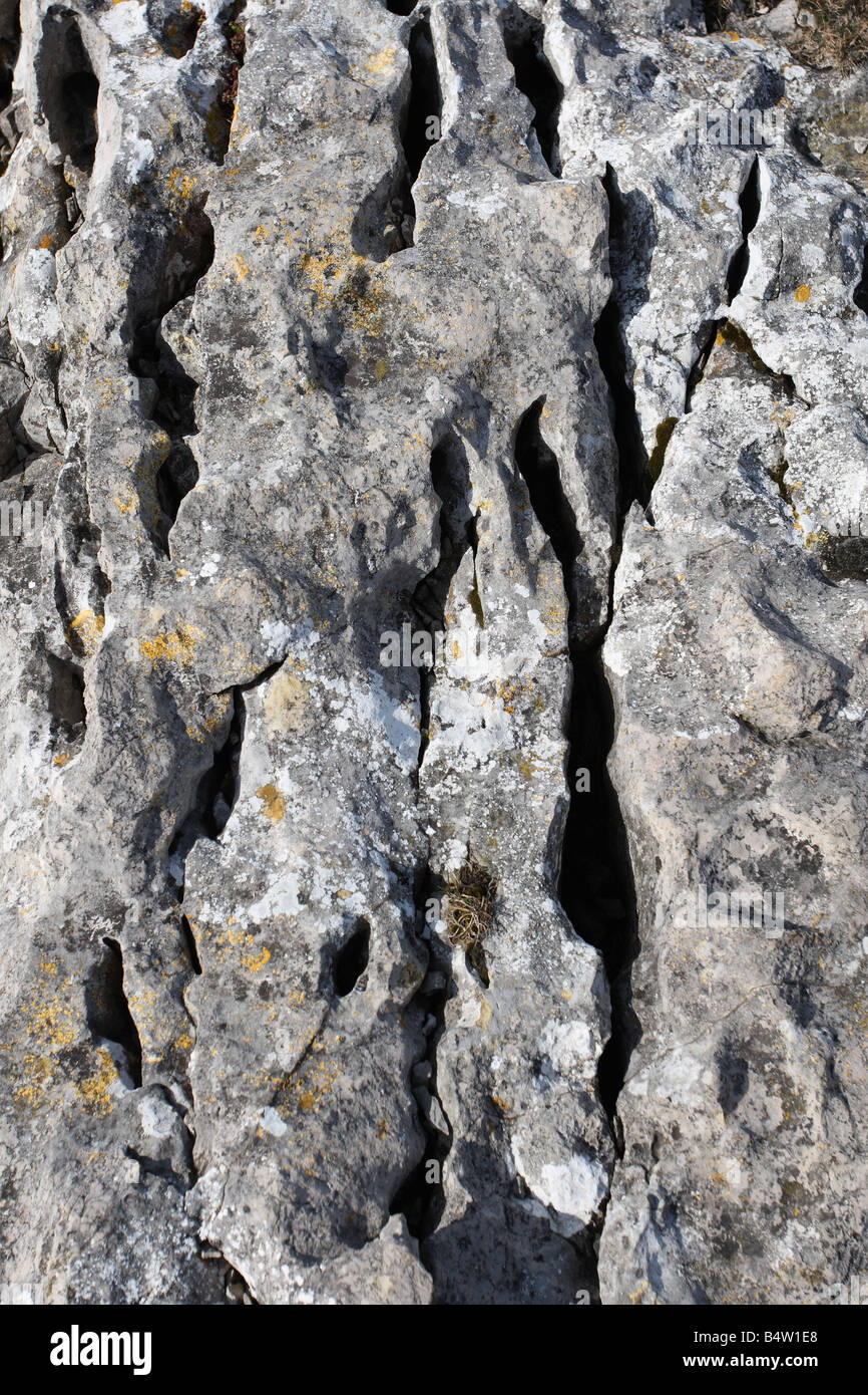 LIMESTONE PAVEMENT ON GREAT ORME NORTH WALES CLOSE UP Stock Photo - Alamy