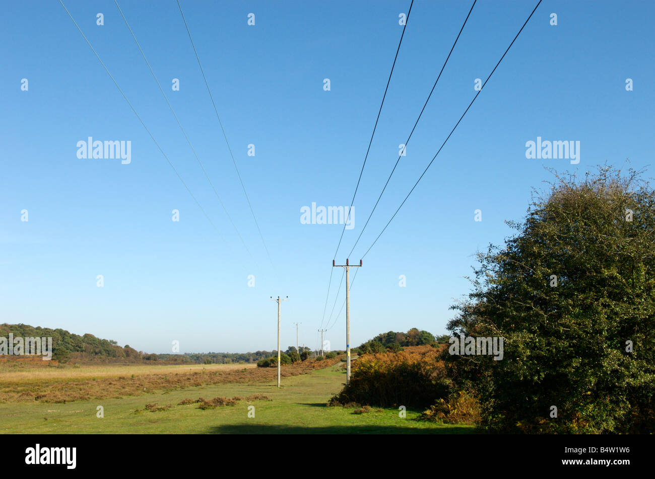 Telegraph poles in the English countryside Stock Photo - Alamy