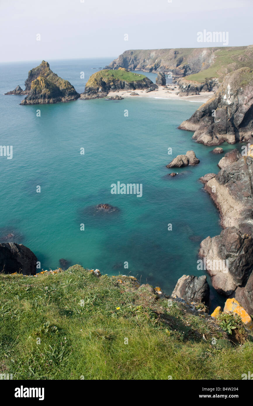 Kynance Cove Lizard Point Cornwall UK Stock Photo - Alamy