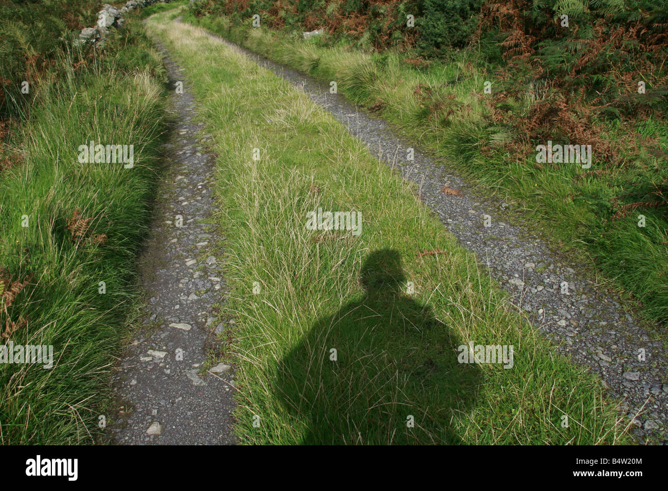 man's shadow on rural green country lane Stock Photo - Alamy