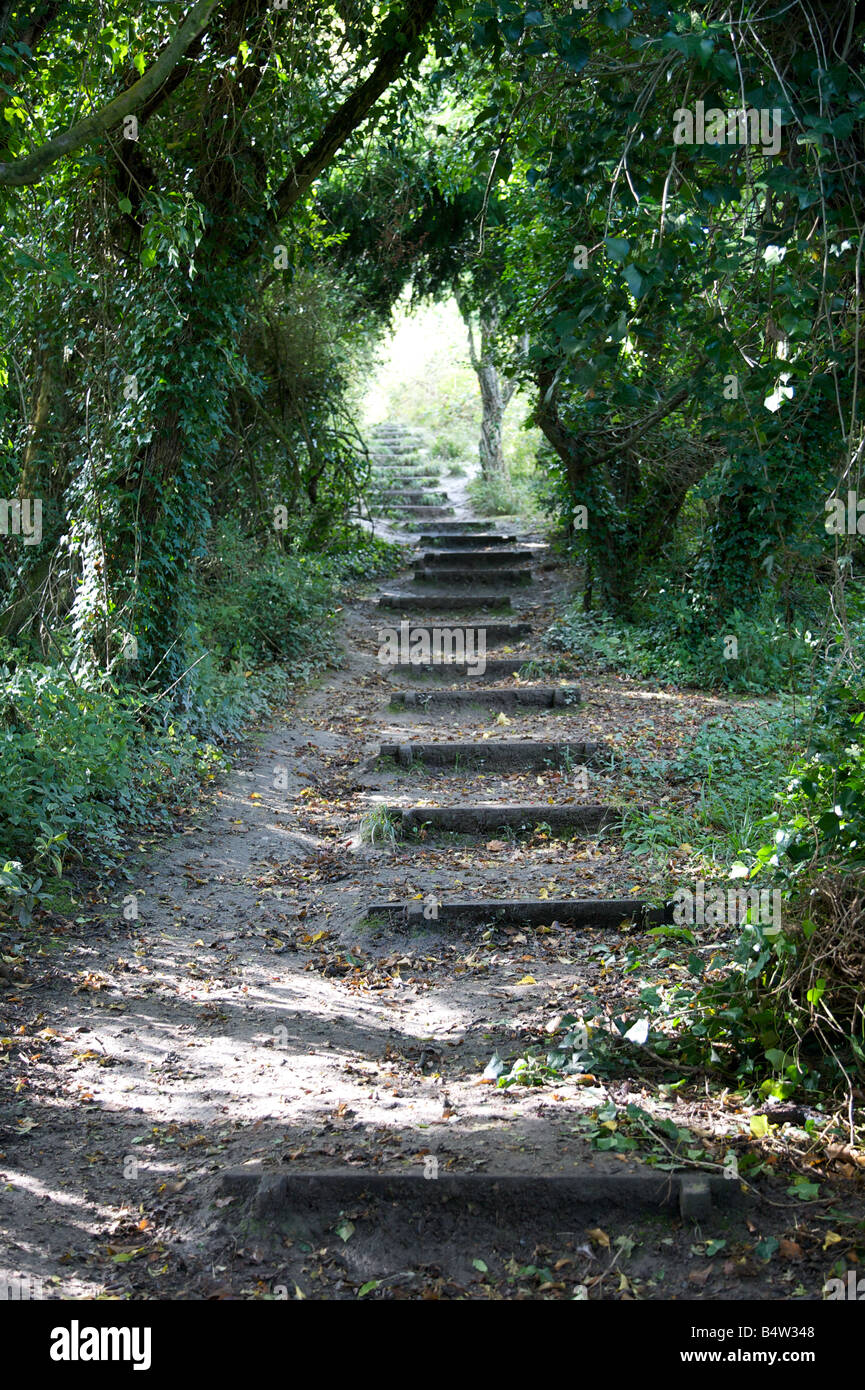 Path through woodlands hi-res stock photography and images - Alamy