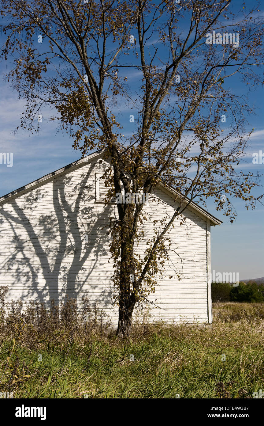 Sharp shadow of tree against a white wooden building in late fall Stock ...