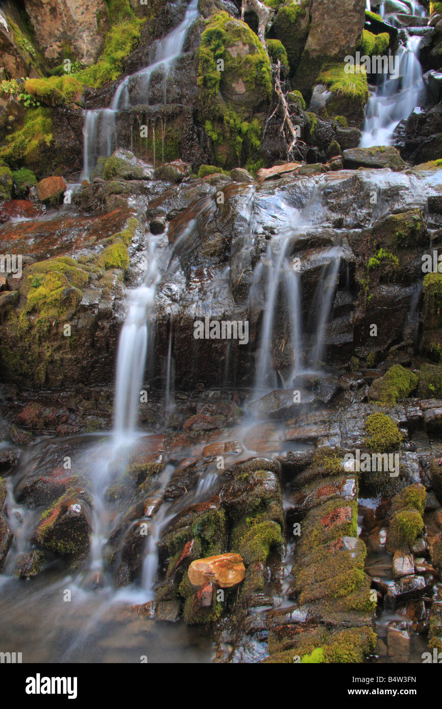 Cascading streams on Highwood Meadows Trail at Highwood Pass ...