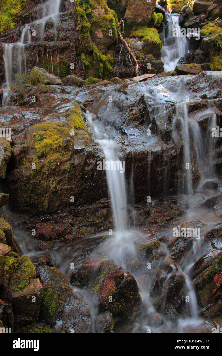 Cascading streams on Highwood Meadows Trail at Highwood Pass ...