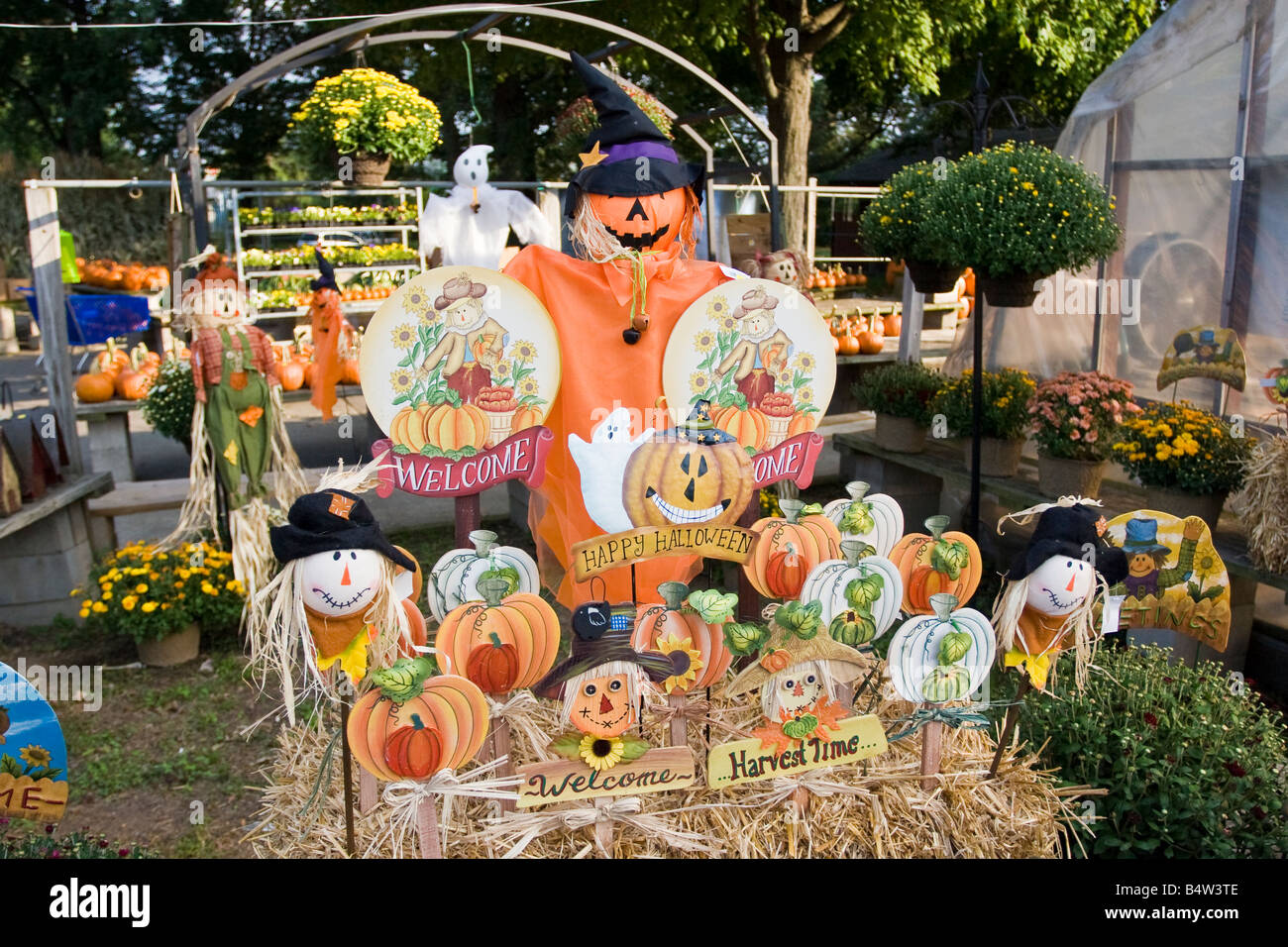 Display pumpkins fall festival hi-res stock photography and images - Alamy