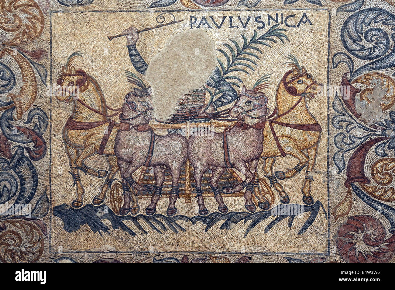 Roman mosaic design art on display National Museum of Roman Art Merida ...