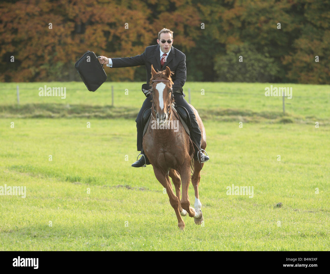 Full gallop hi-res stock photography and images - Alamy