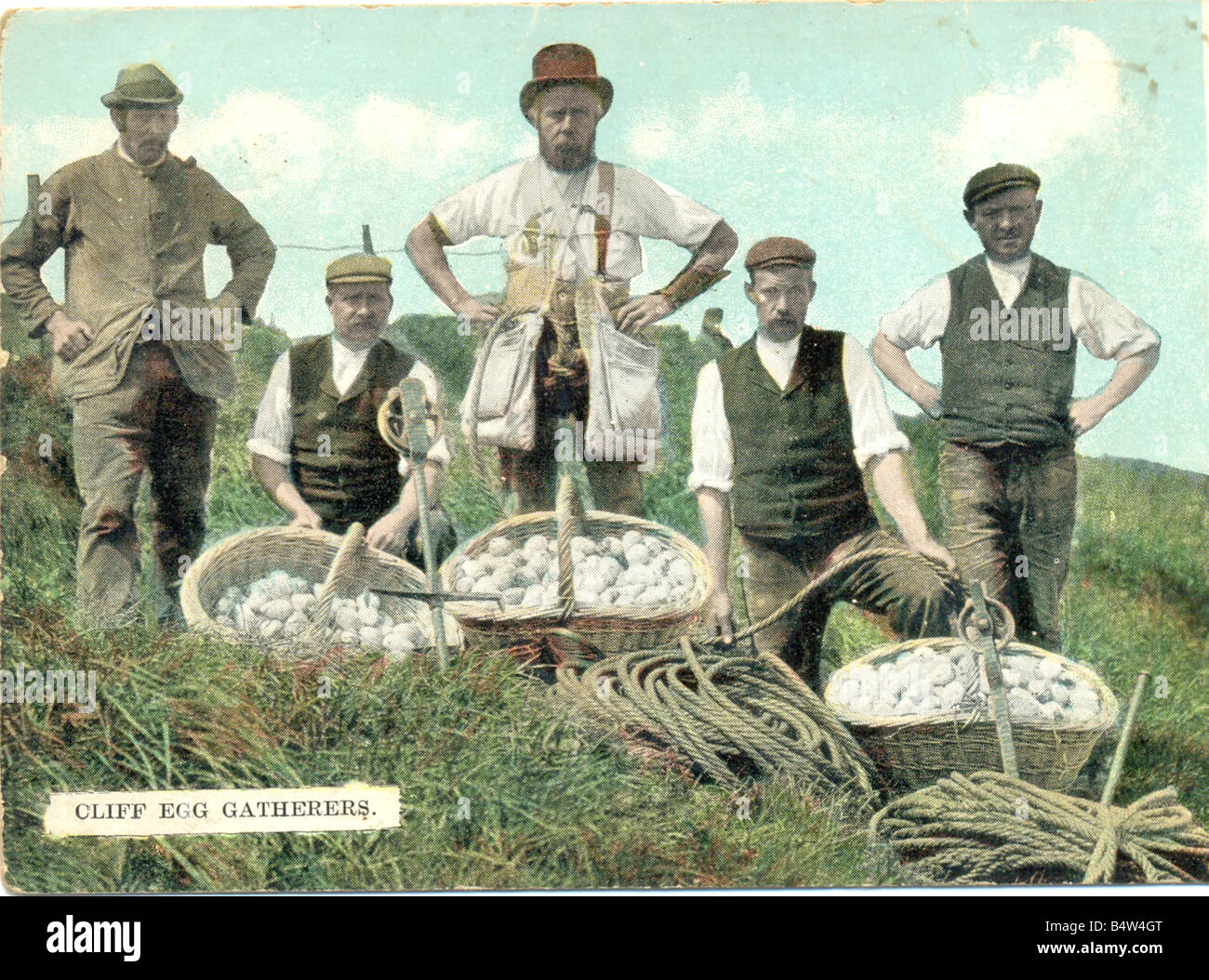 Picture postcard of cliff egg gatherers circa 1906 Stock Photo - Alamy