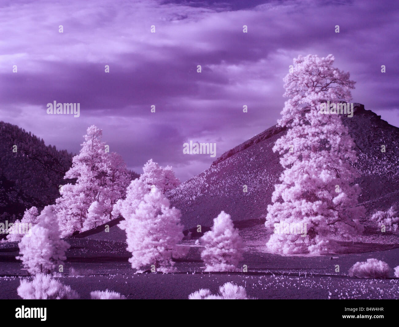 Dale verde hi-res stock photography and images - Alamy