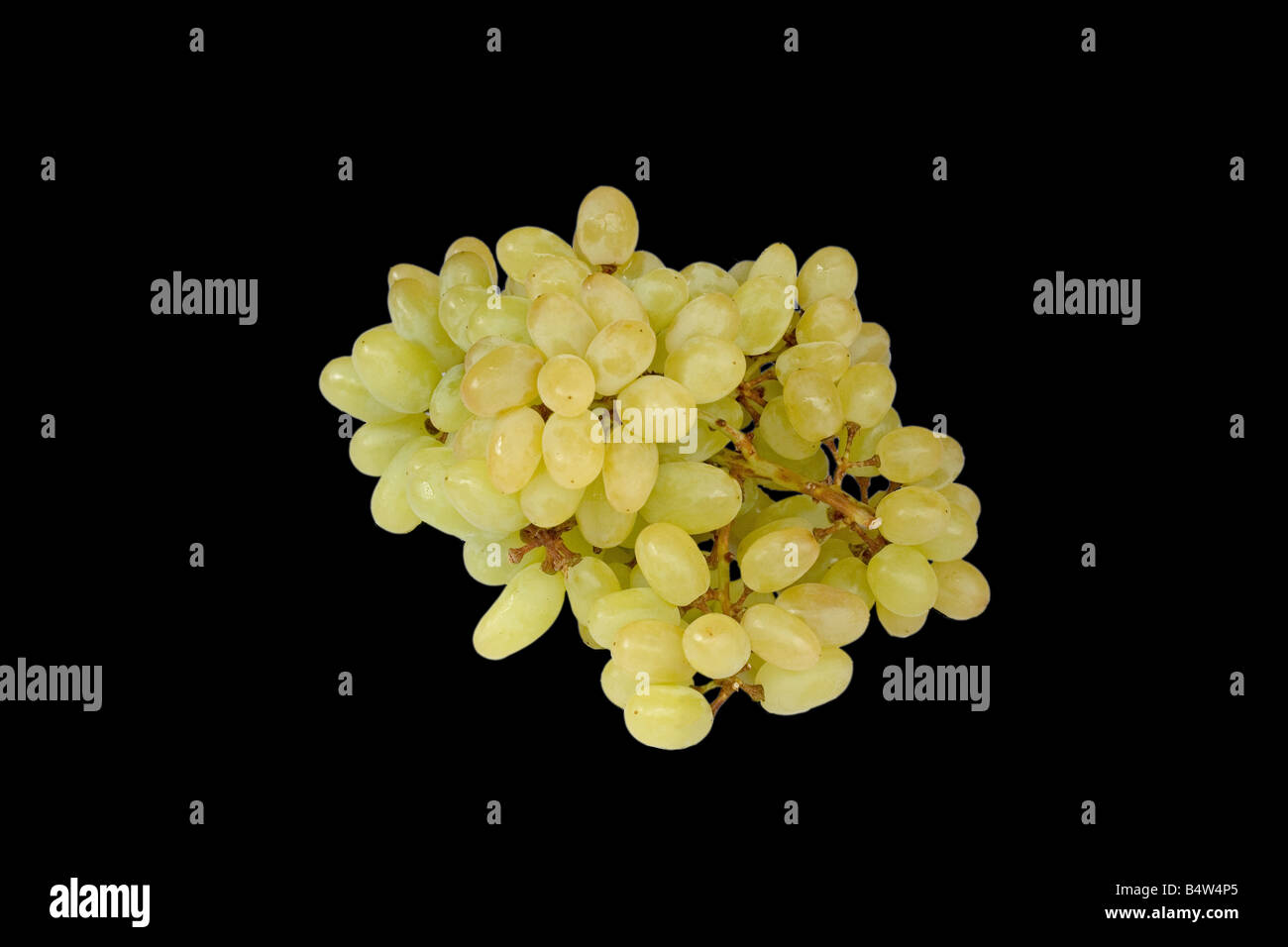 White grape image hi-res stock photography and images - Alamy