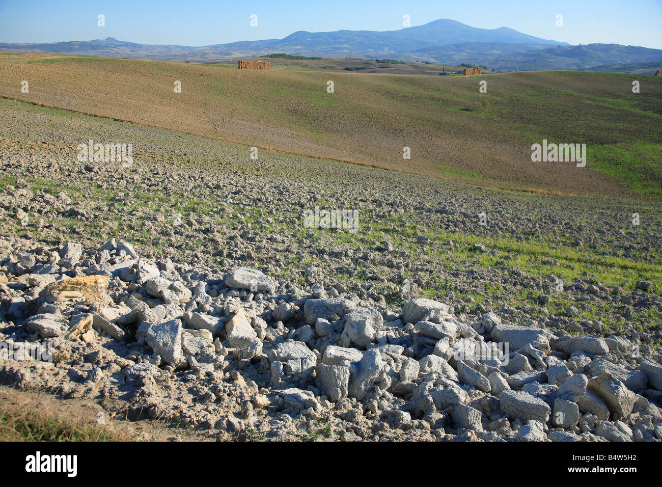 agriculture field Crete Tuscany Italy Stock Photo - Alamy
