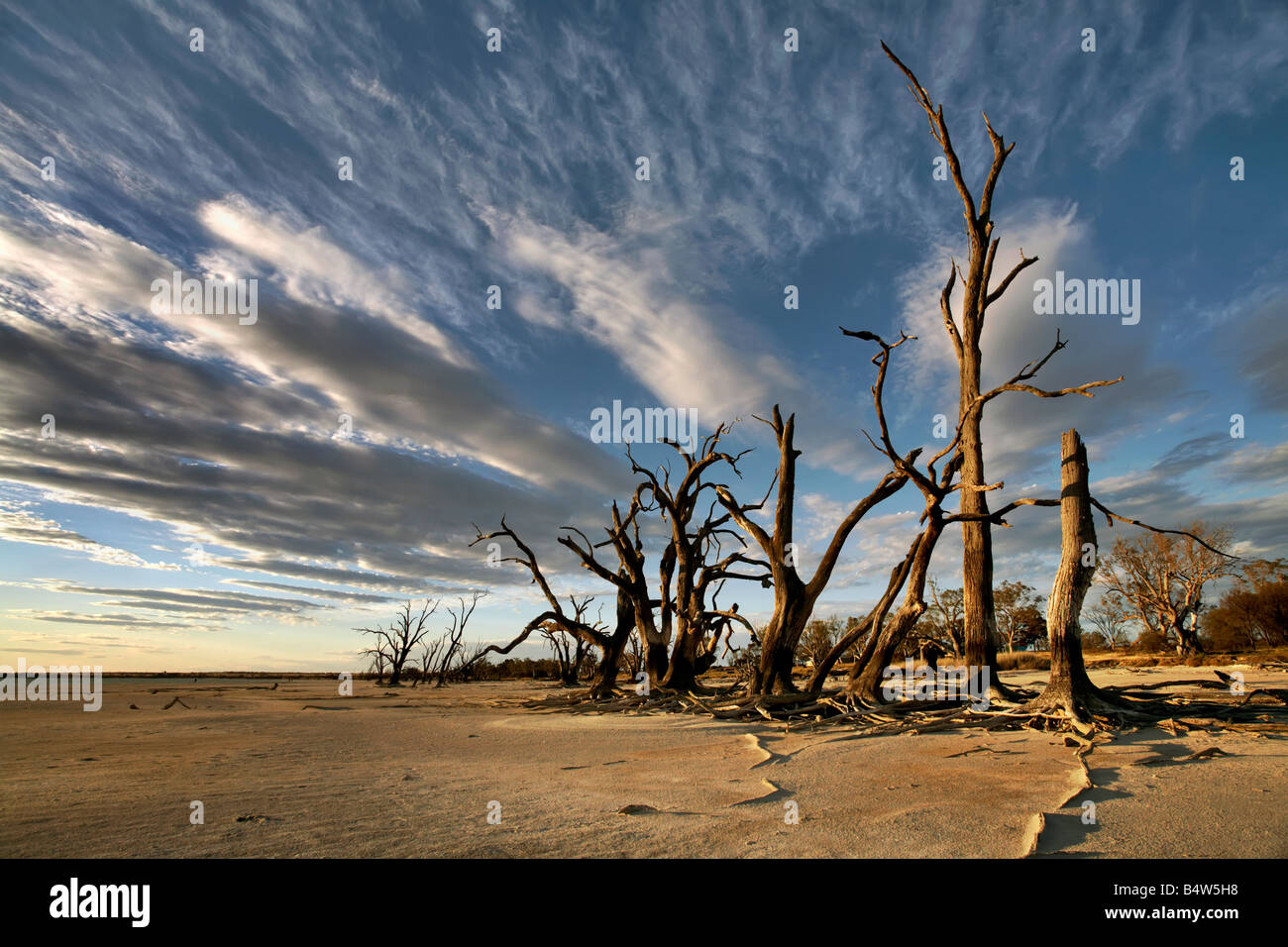 Lake Bonney Barmera Riverland South Australia Stock Photo - Alamy