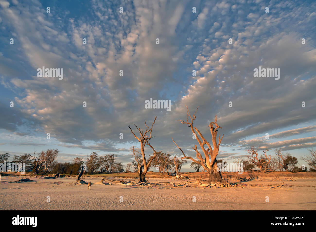 Lake Bonney Barmera Riverland South Australia Stock Photo - Alamy