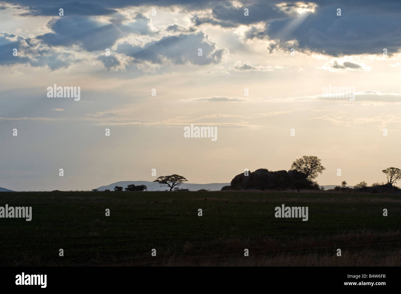 Tanzania Serengeti National Park Seronera area the typical granitic ...