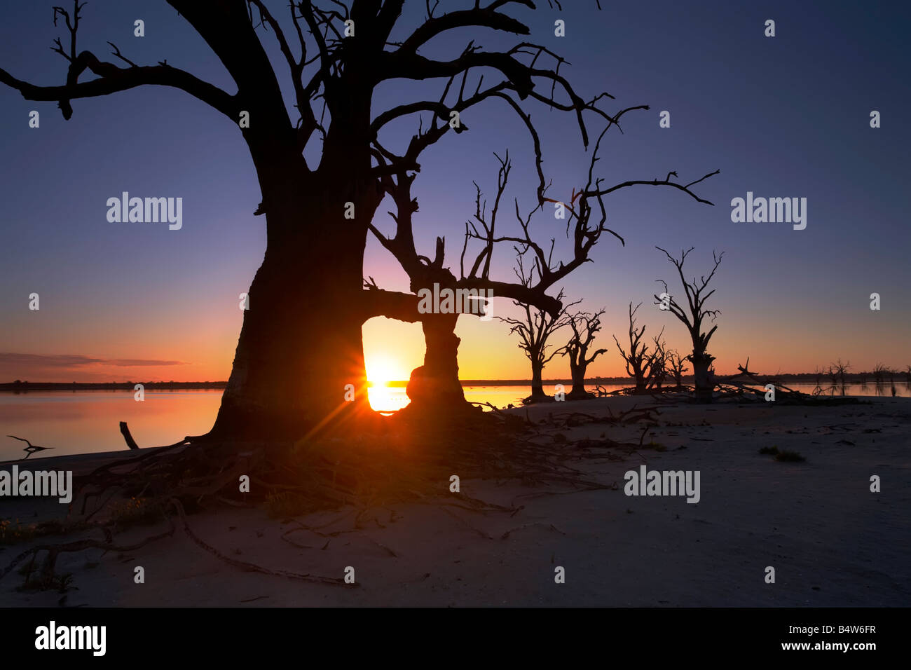 Pelican point lake barmera riverland hi-res stock photography and ...