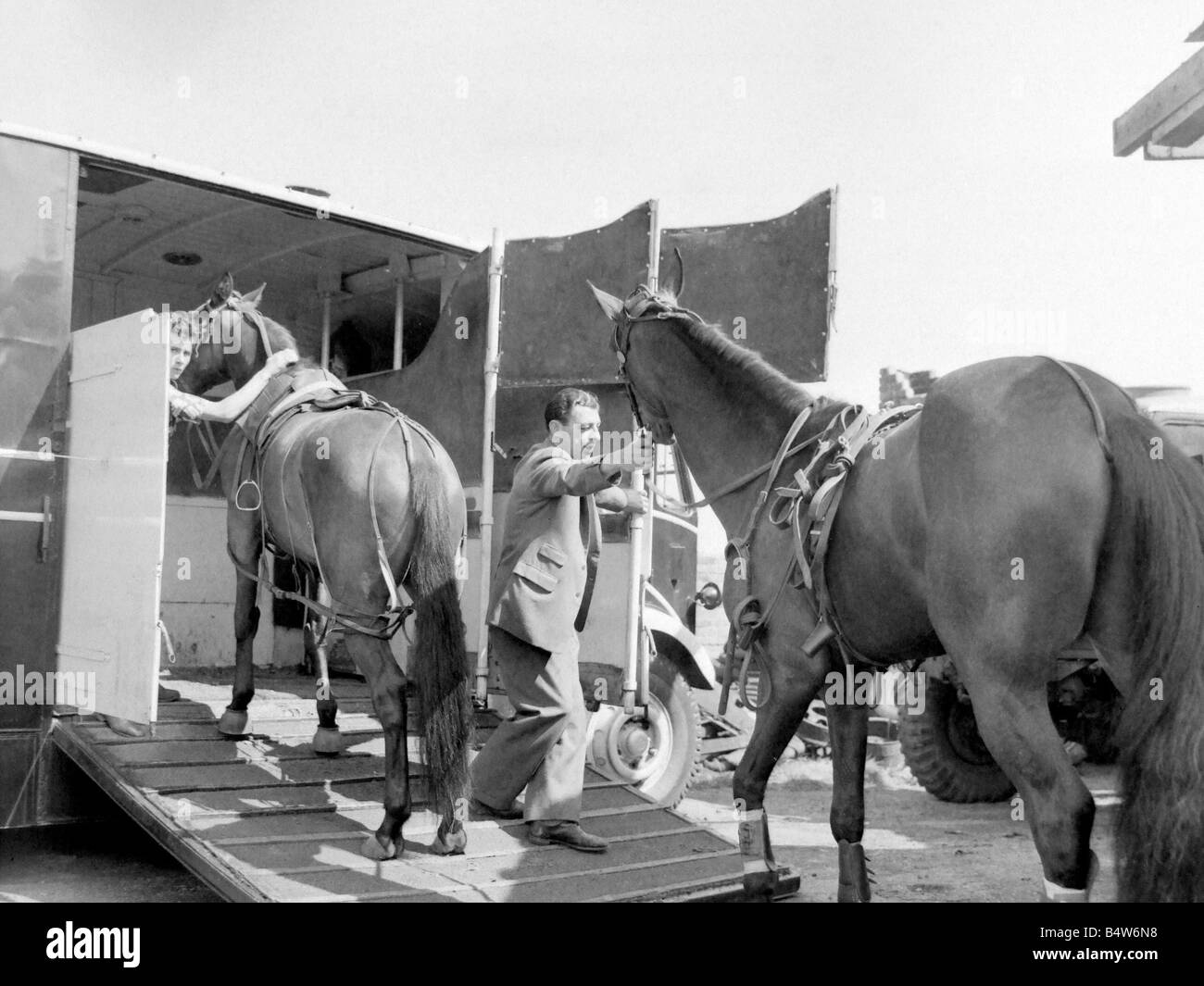 Horses are loaded onto a horsebox after competing in the Trotting race ...