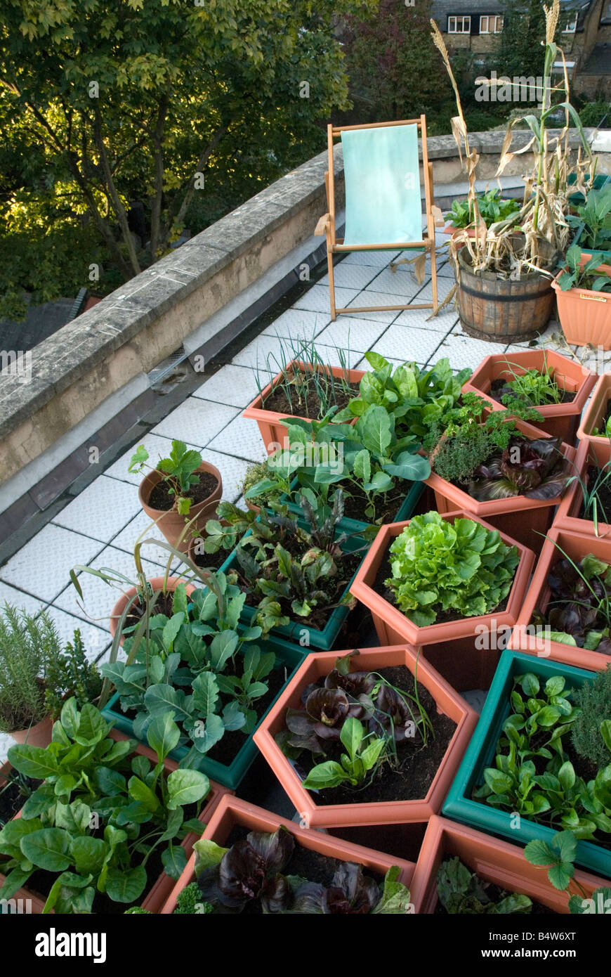 Rooftop Vegetable Garden Rooftop Gardening, Rooftop Vegetable
