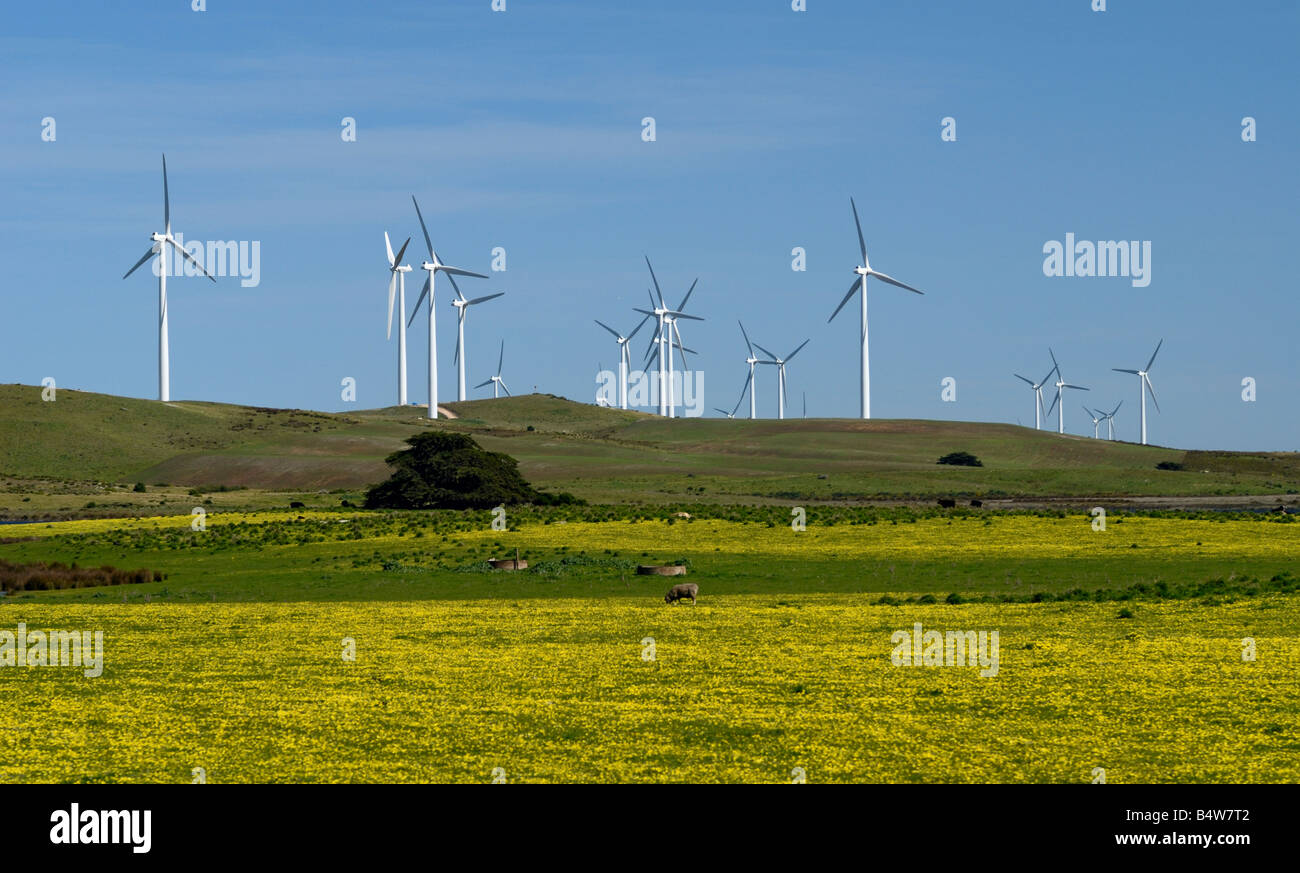 Portland victoria australia wind farm hi-res stock photography and ...