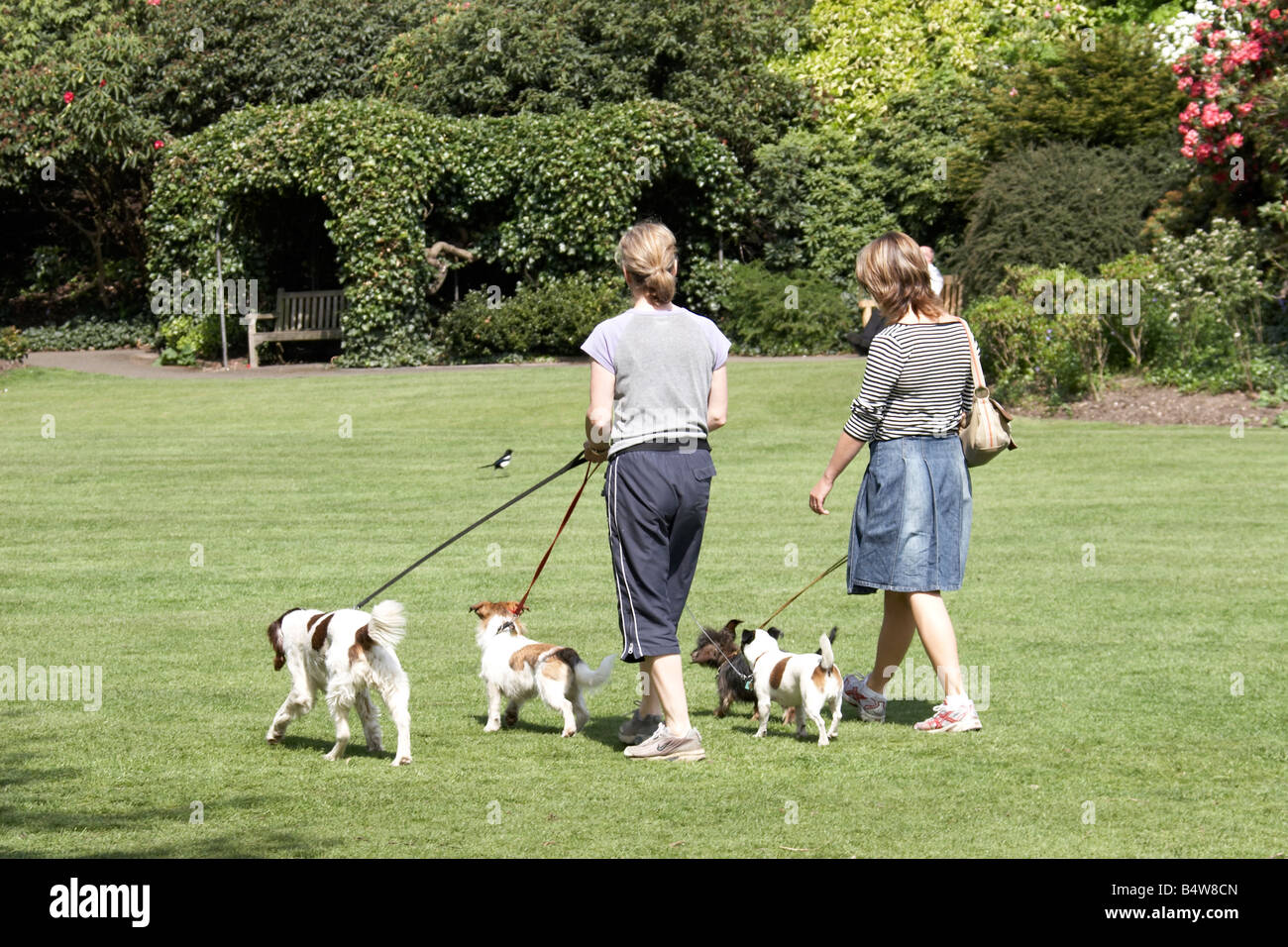 Women walking dogs on lawn at Kenwood House English Heritage historic ...