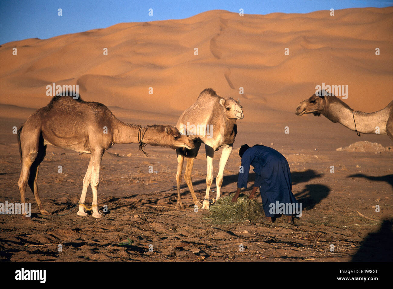 Ubari sand sea hi-res stock photography and images - Alamy