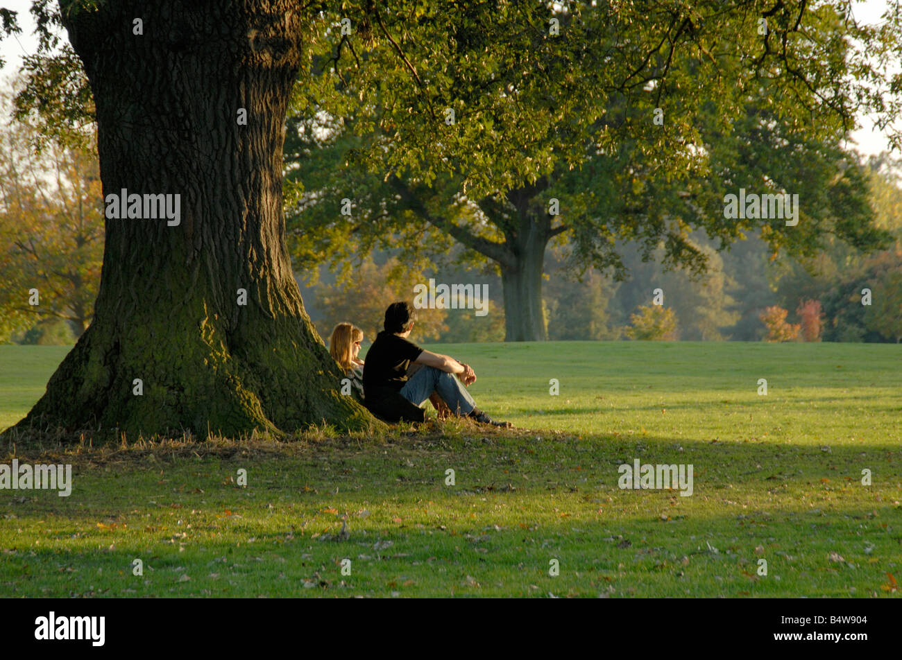 Young couple sitting against the trunk of an old oak tree in autumn ...