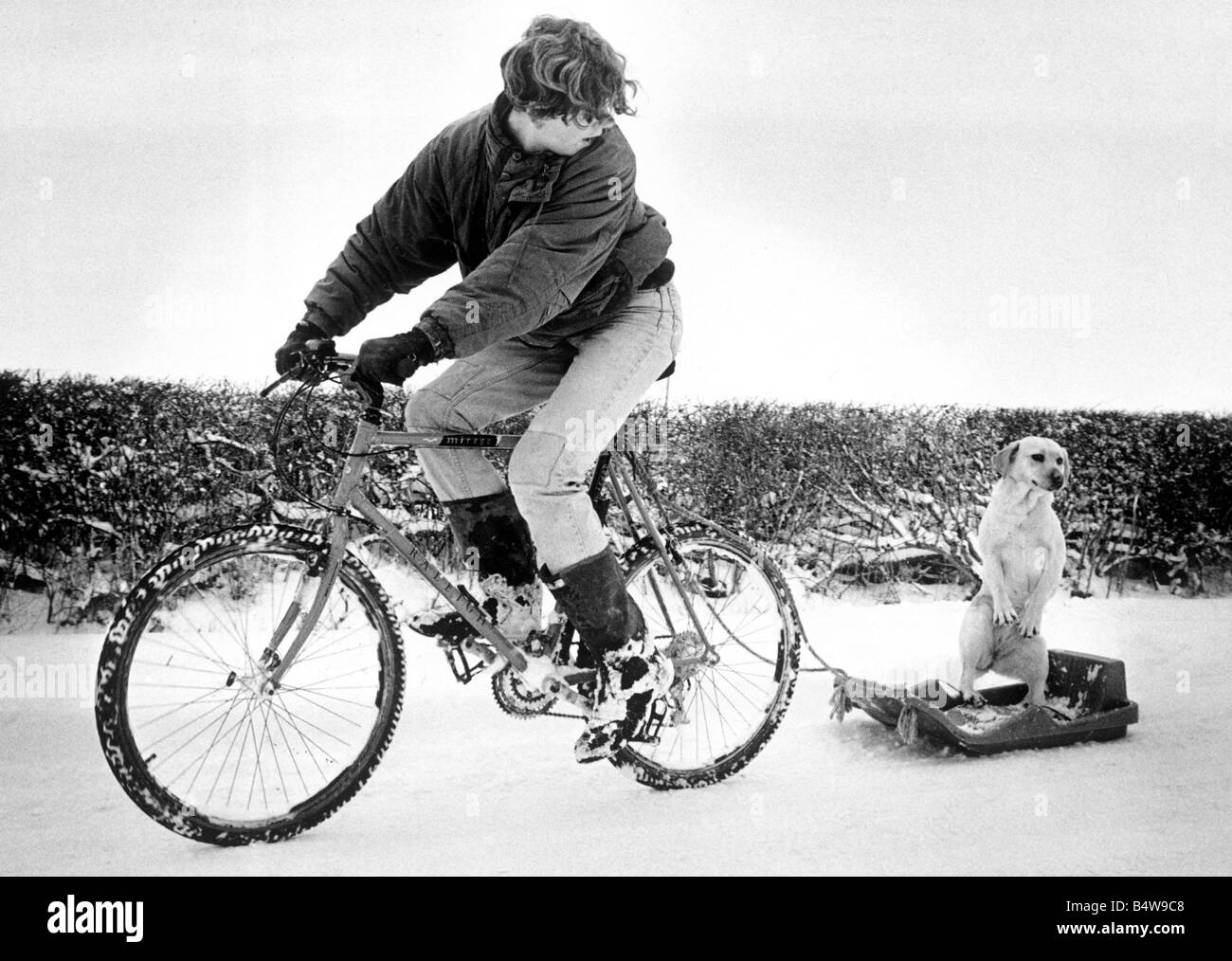 Daniel Unsworth (16) takes his dog Dixie for a ride on a sledge towed ...