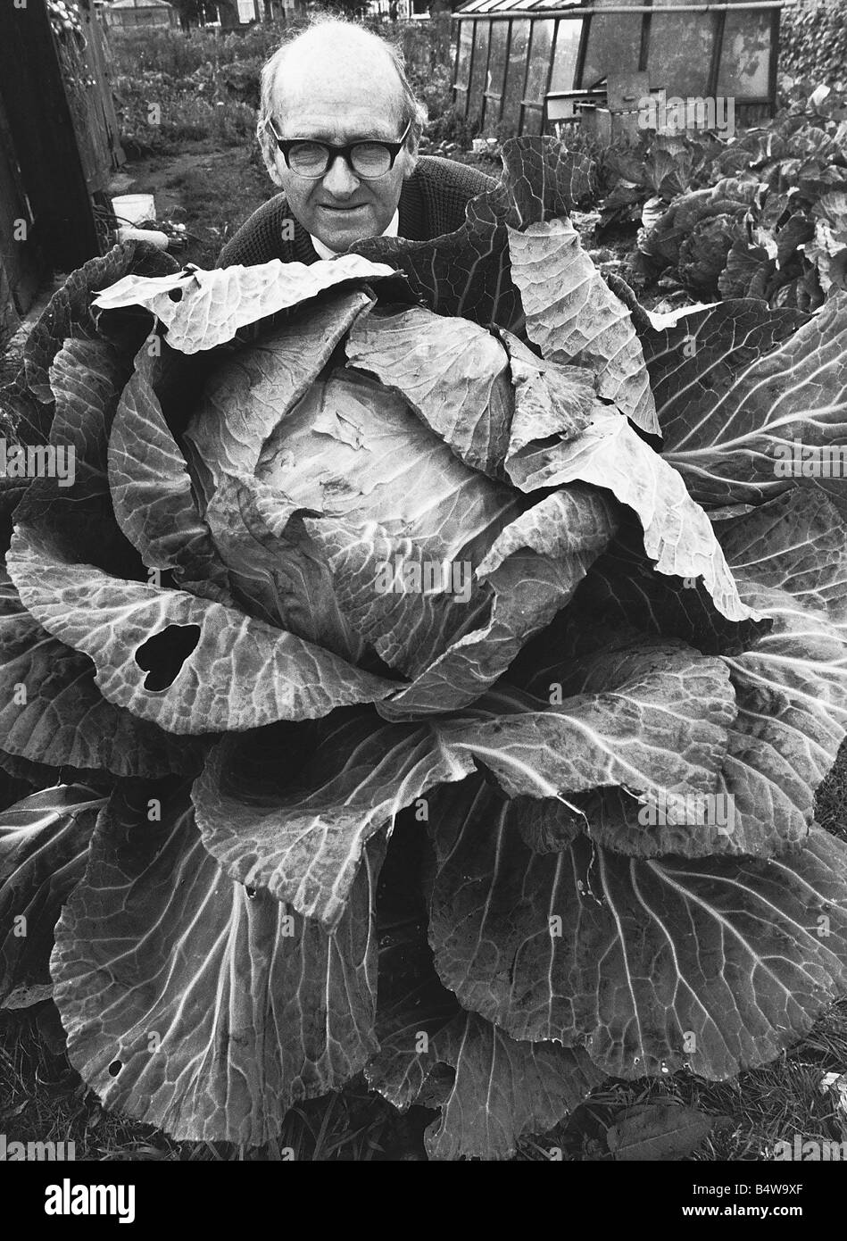 John McLoughlin grows mammoth plants with the pigeon droppings he ...