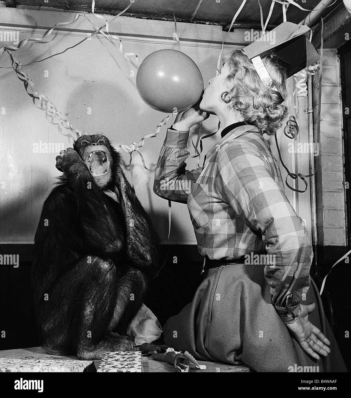 Jill adams hi-res stock photography and images - Alamy