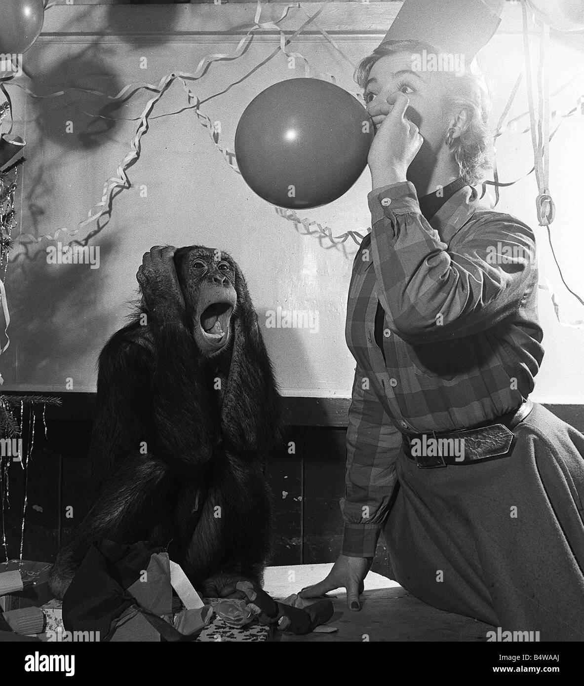 Jill adams hi-res stock photography and images - Alamy