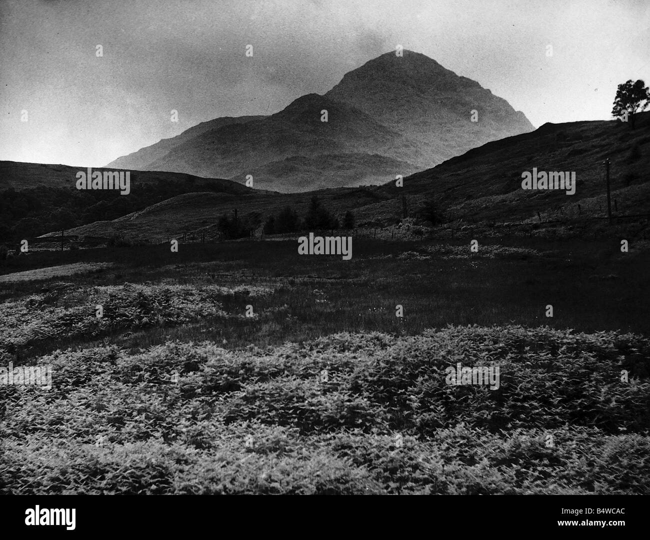 Ben Chroise mountain in the Grampians Scotland Stock Photo - Alamy