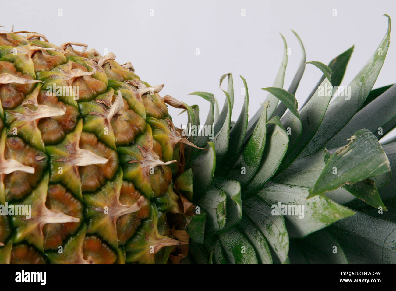 ananas, pineapple, fruit Stock Photo - Alamy