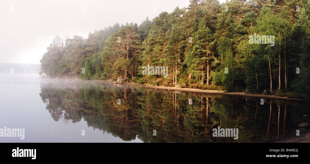 Loch Garten is famous for the ospreys that can be seen from the Osprey ...