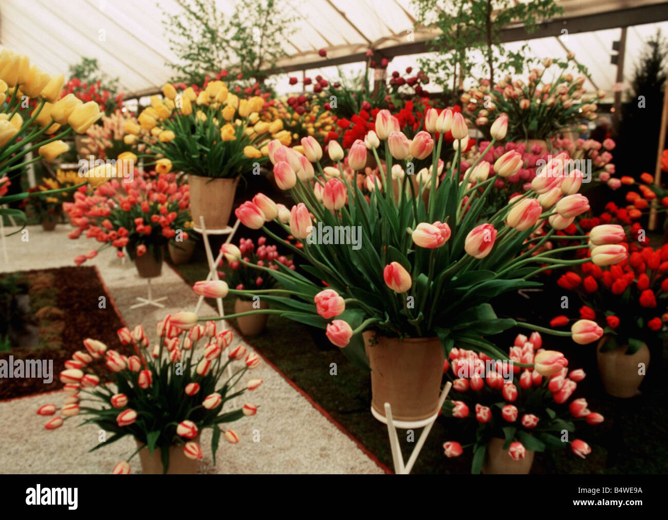 Chelsea Flower Show London Stock Photo - Alamy