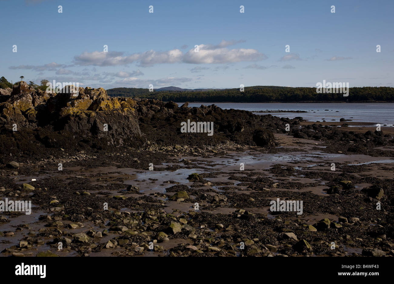 The River Dee estuary at low tide near Kirkcudbright in Scotland Stock ...