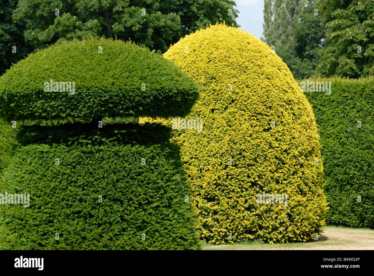Topiary work hi-res stock photography and images - Alamy