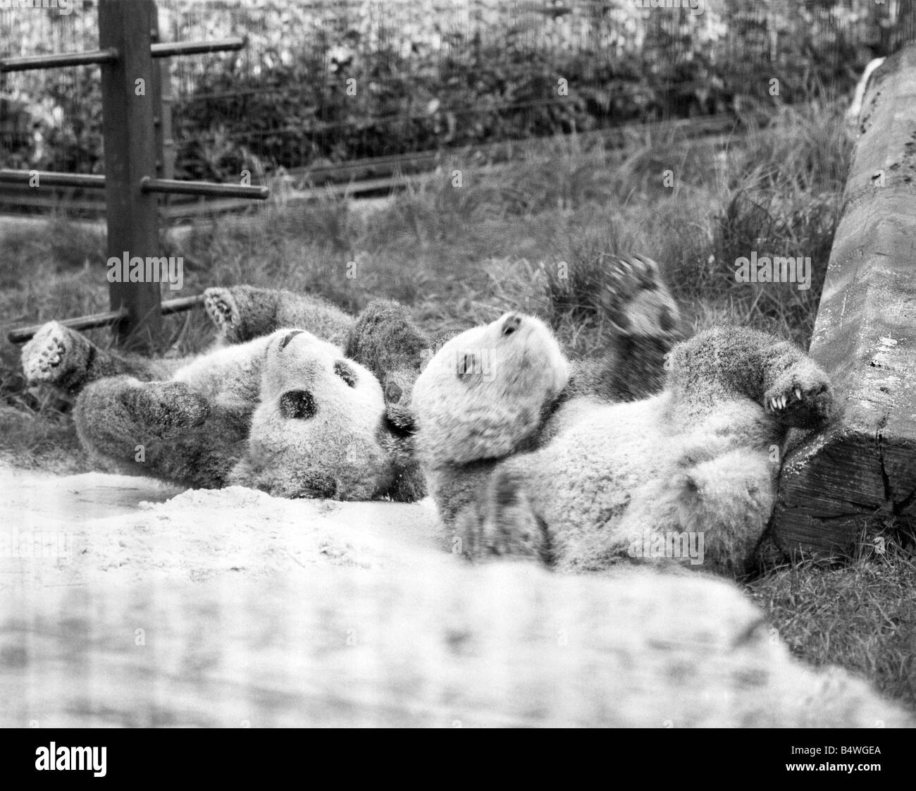 Sand roll Black and White Stock Photos & Images - Alamy