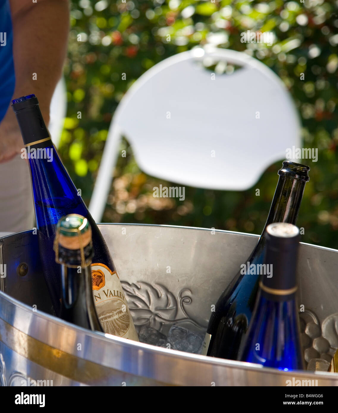 Chilling the Wine Stock Photo - Alamy