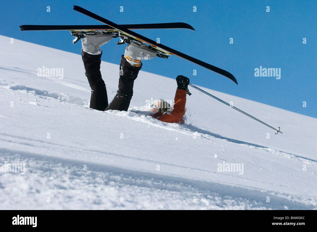 Fallen skier lying in powder snow Stock Photo - Alamy